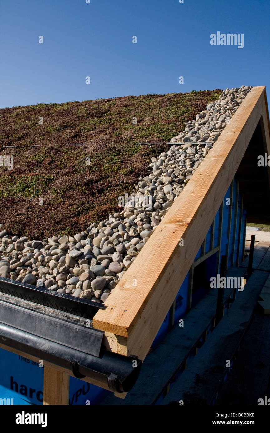 Sedum roof hi-res stock photography and images - Alamy