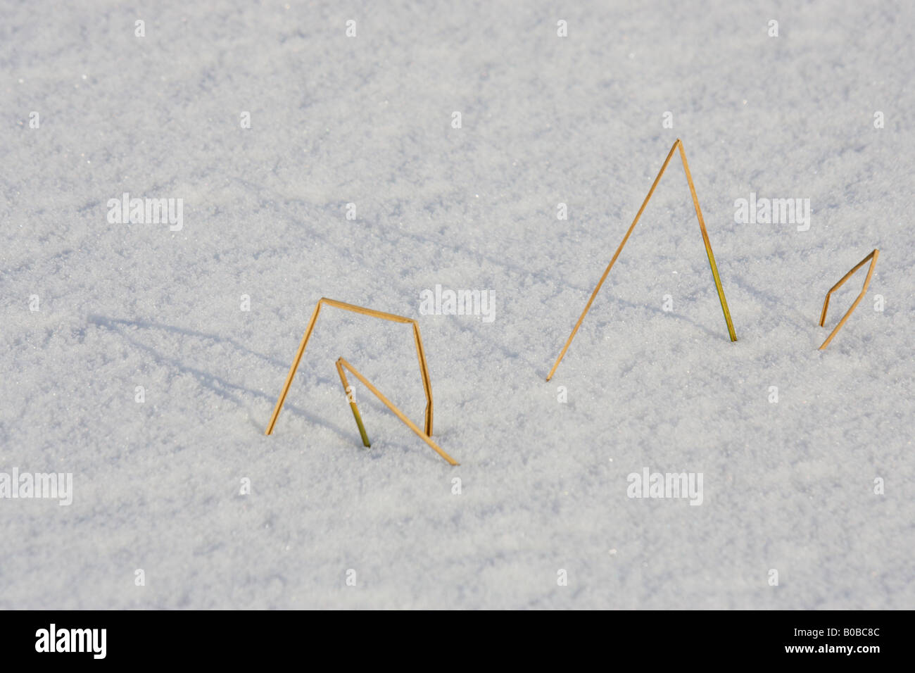 Forming patterns hi-res stock photography and images - Alamy