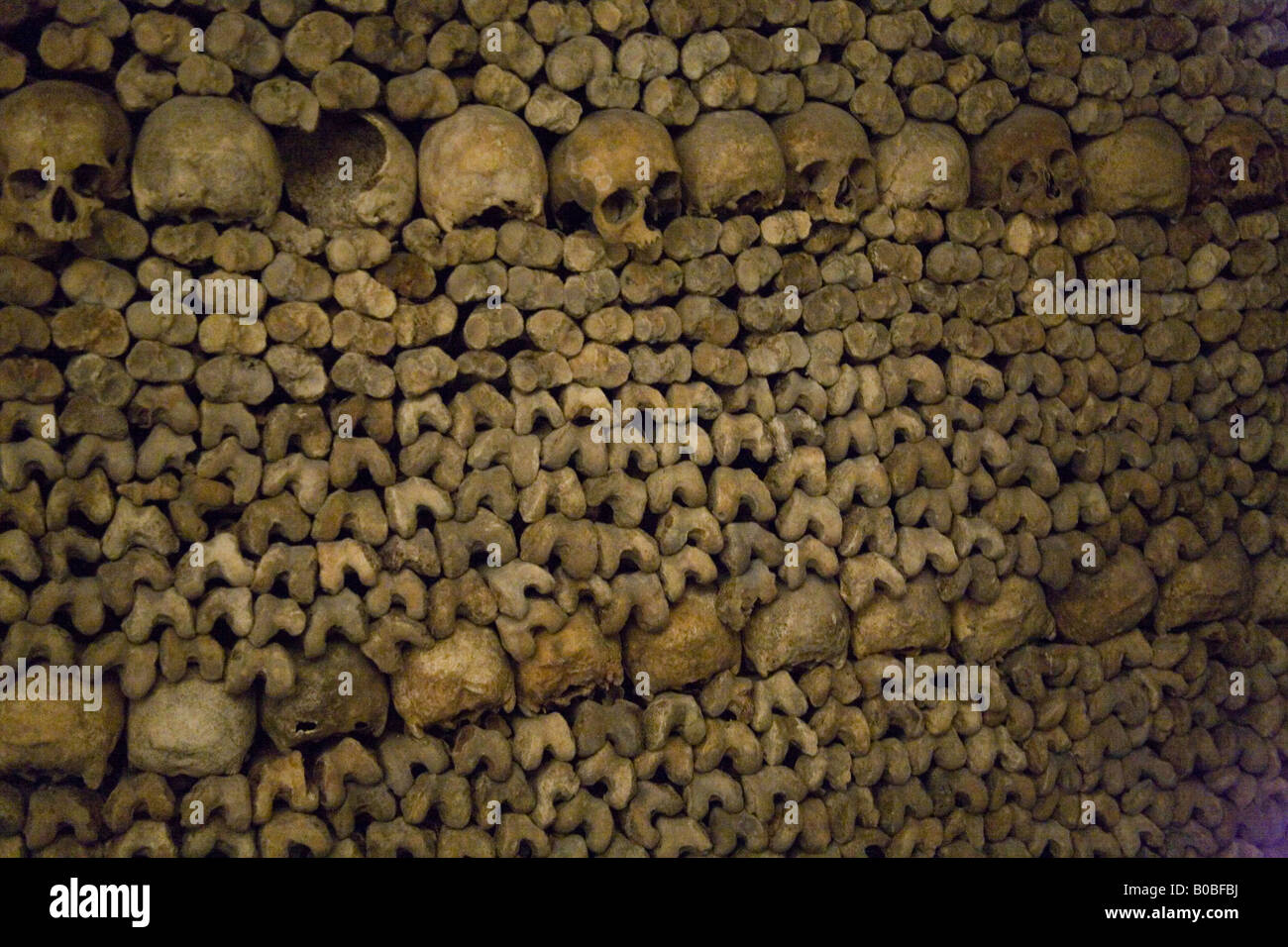 Human skulls and bones stacked in rows in the underground Catacombs ...
