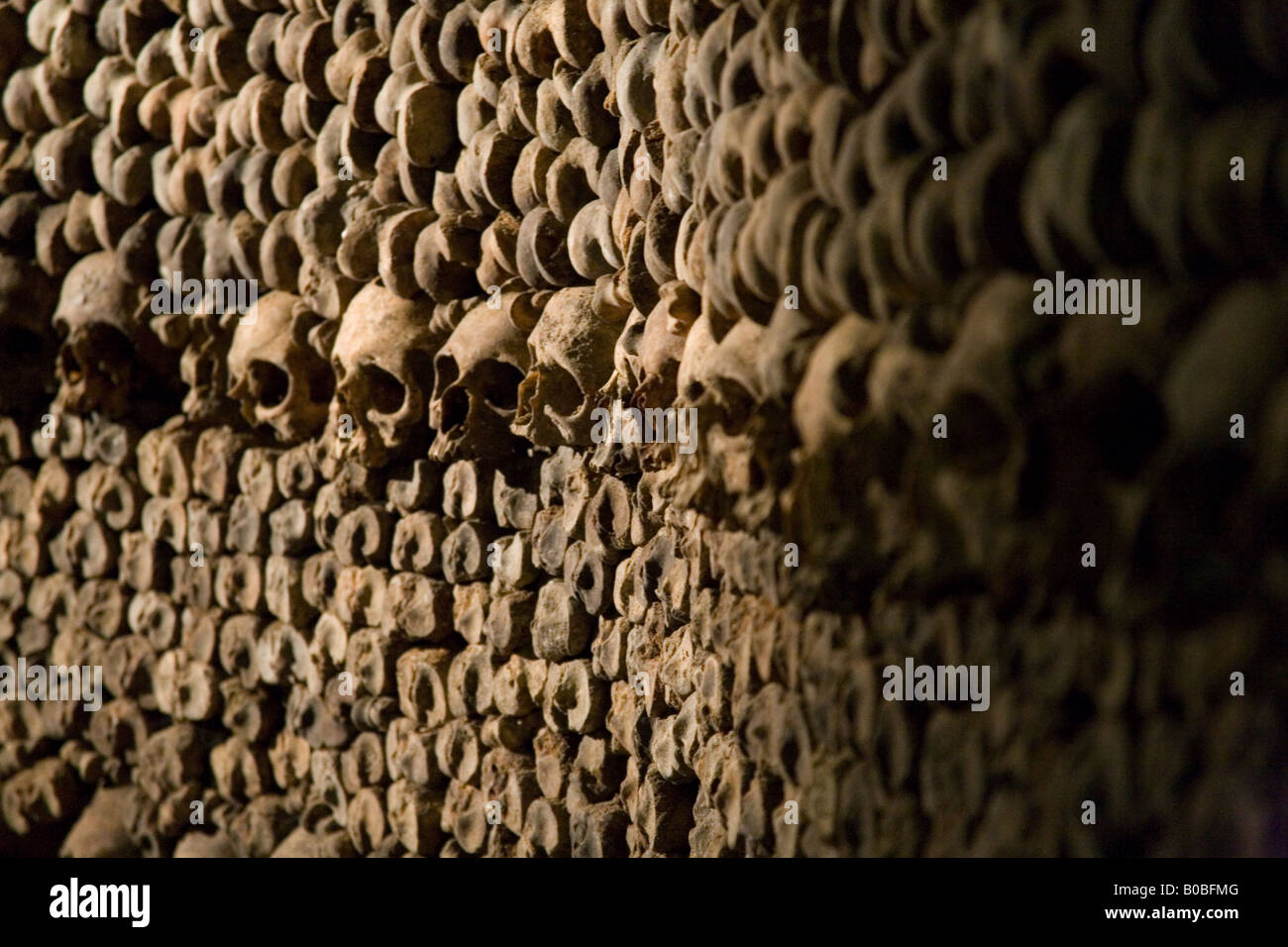 Human skulls and bones stacked in rows in the underground Catacombs ...