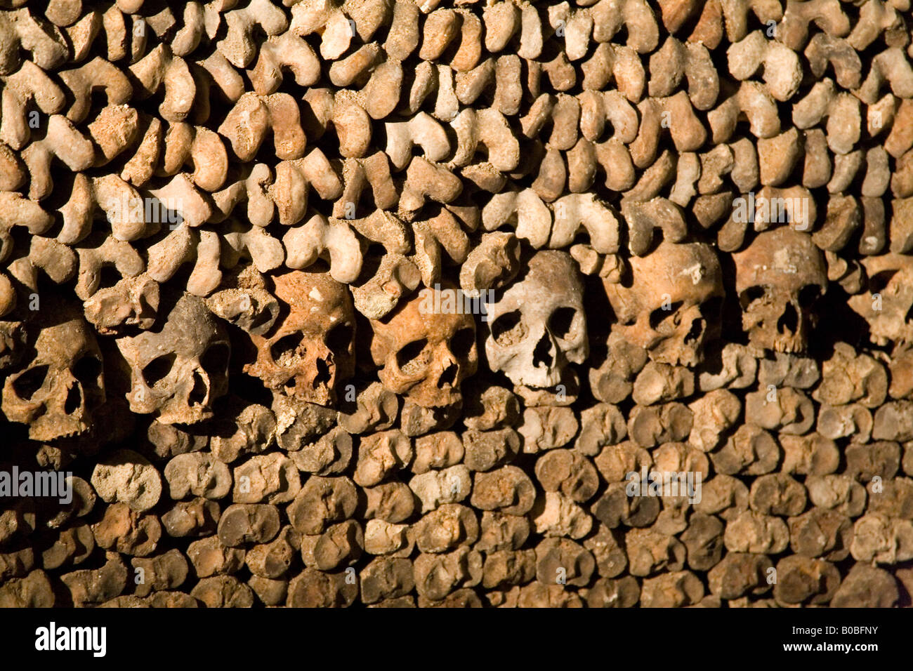 Human skulls and bones stacked in rows in the underground Catacombs ...