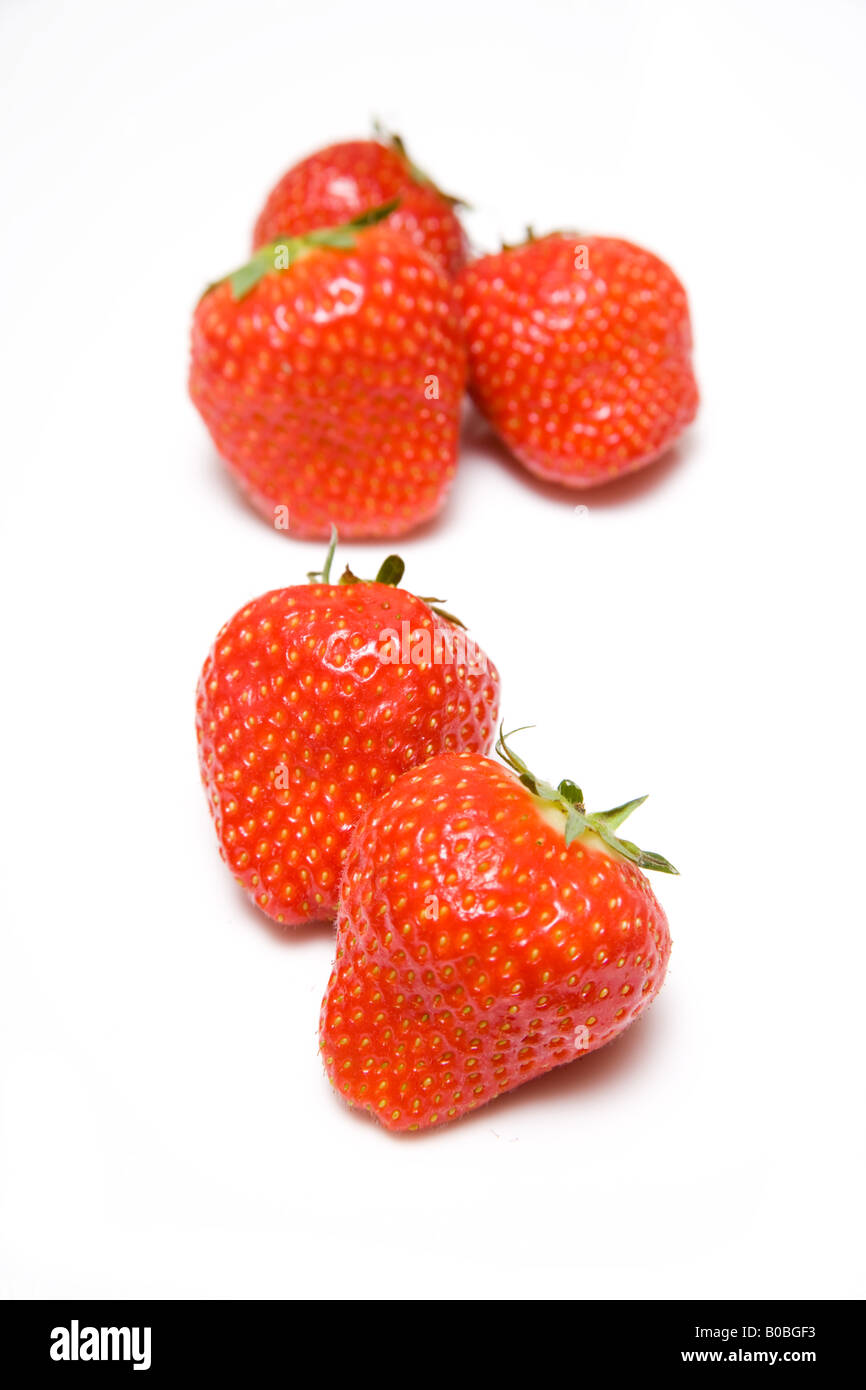 Strawberries isolated on a white studio background Stock Photo - Alamy