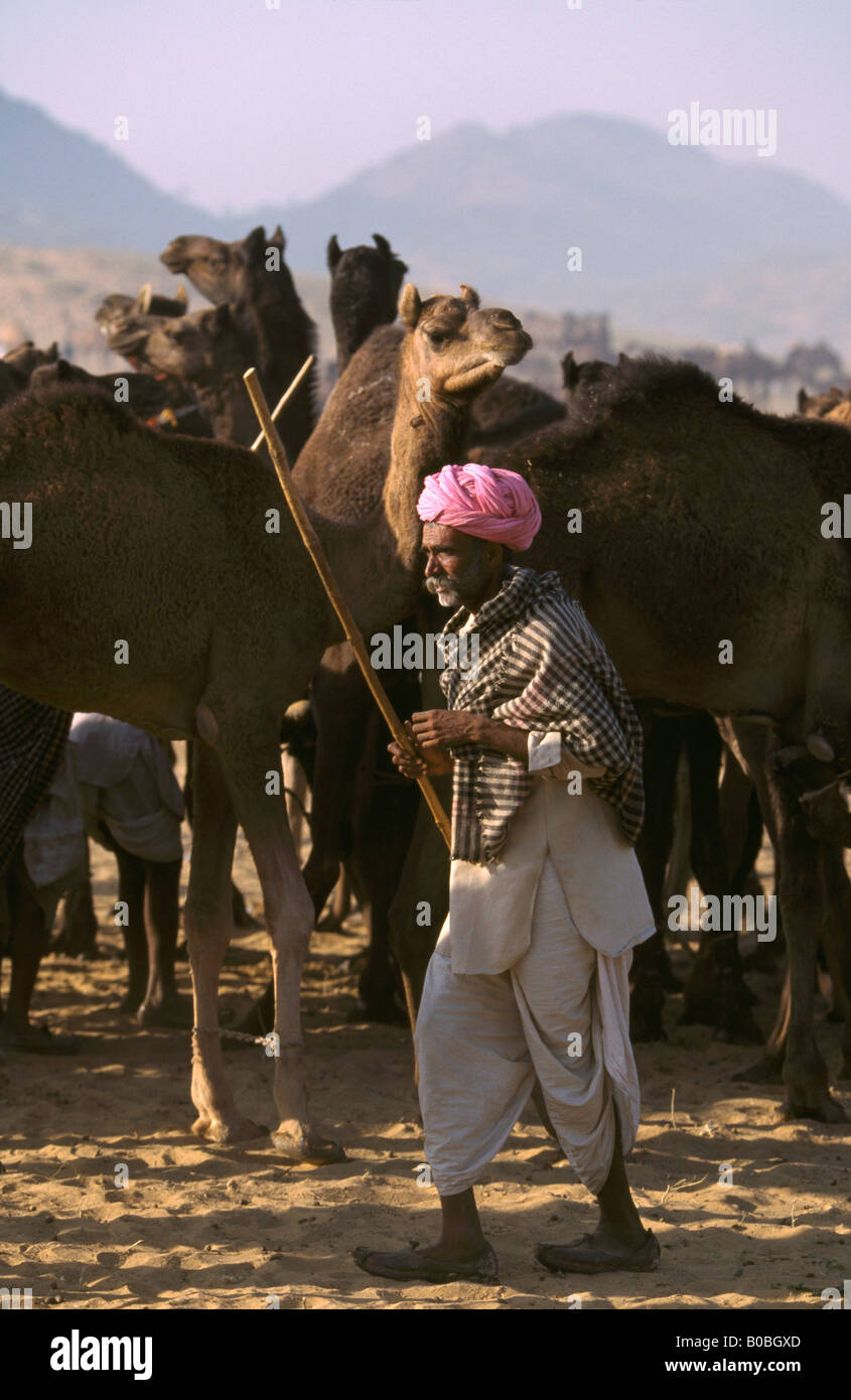 Camel trader at the Pushkar fair in India Stock Photo - Alamy