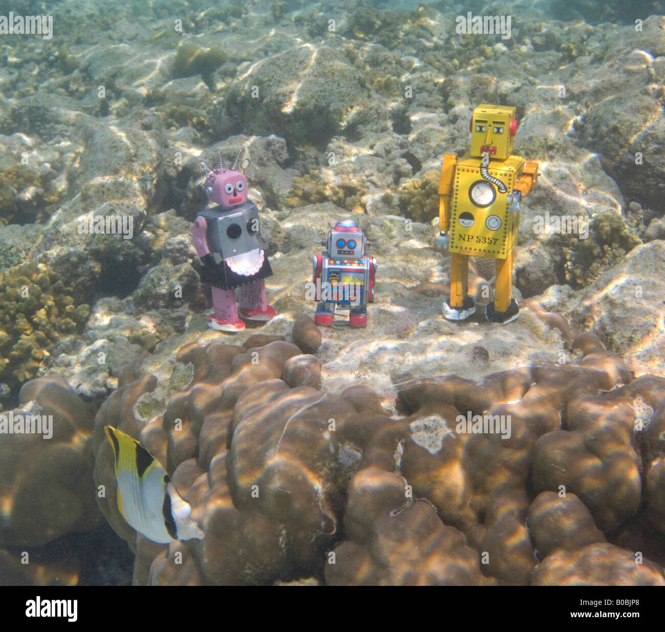 Three toy robots underwater on a coral reef with fish Stock Photo - Alamy