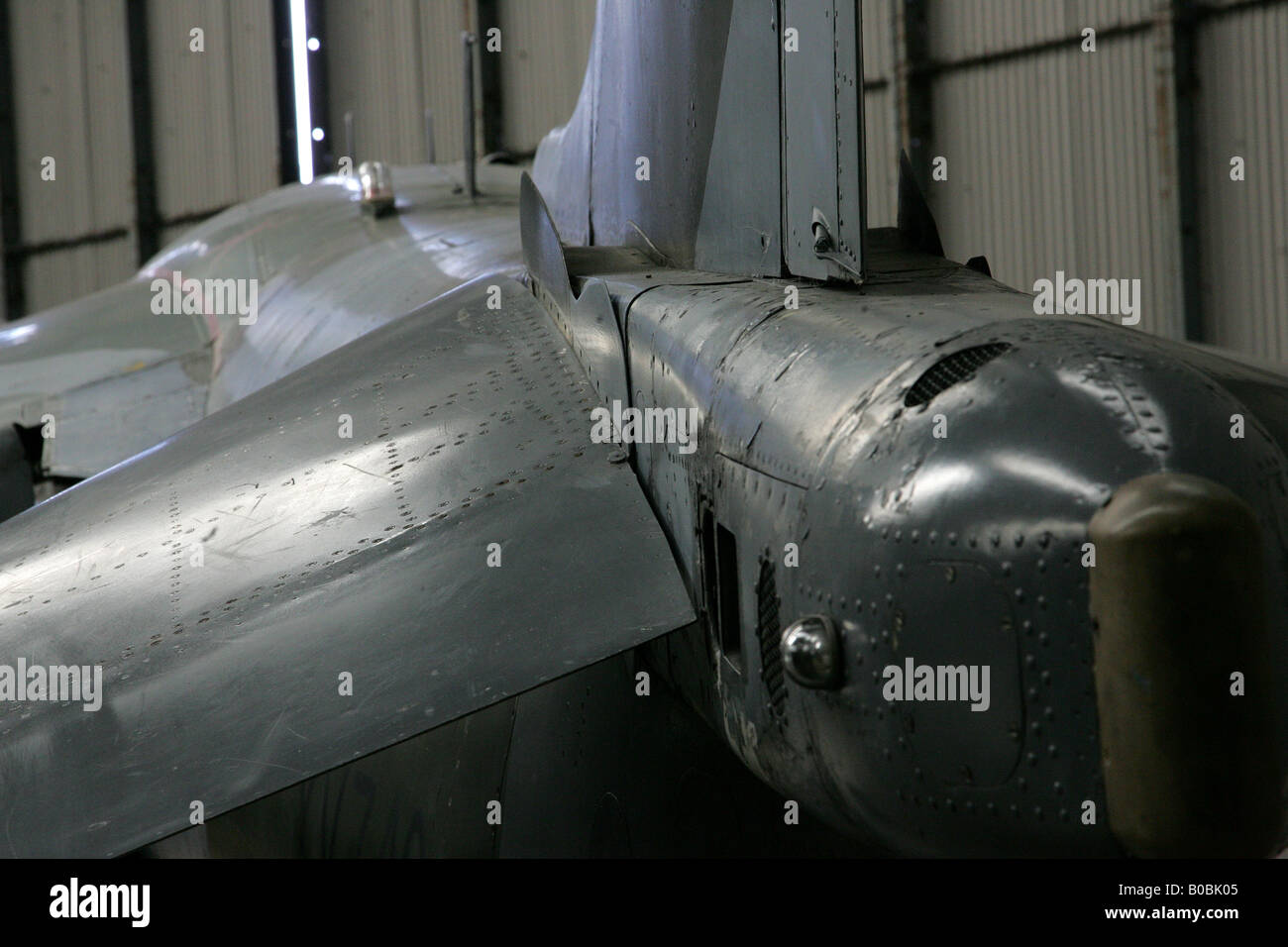 RAF HARRIER GR3 FIGHTER JET AIRCRAFT SQUADRON EMBLEM Stock Photo - Alamy