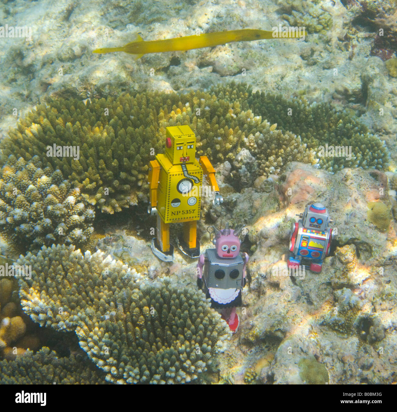 Three toy robots underwater on a coral reef with fish Stock Photo - Alamy