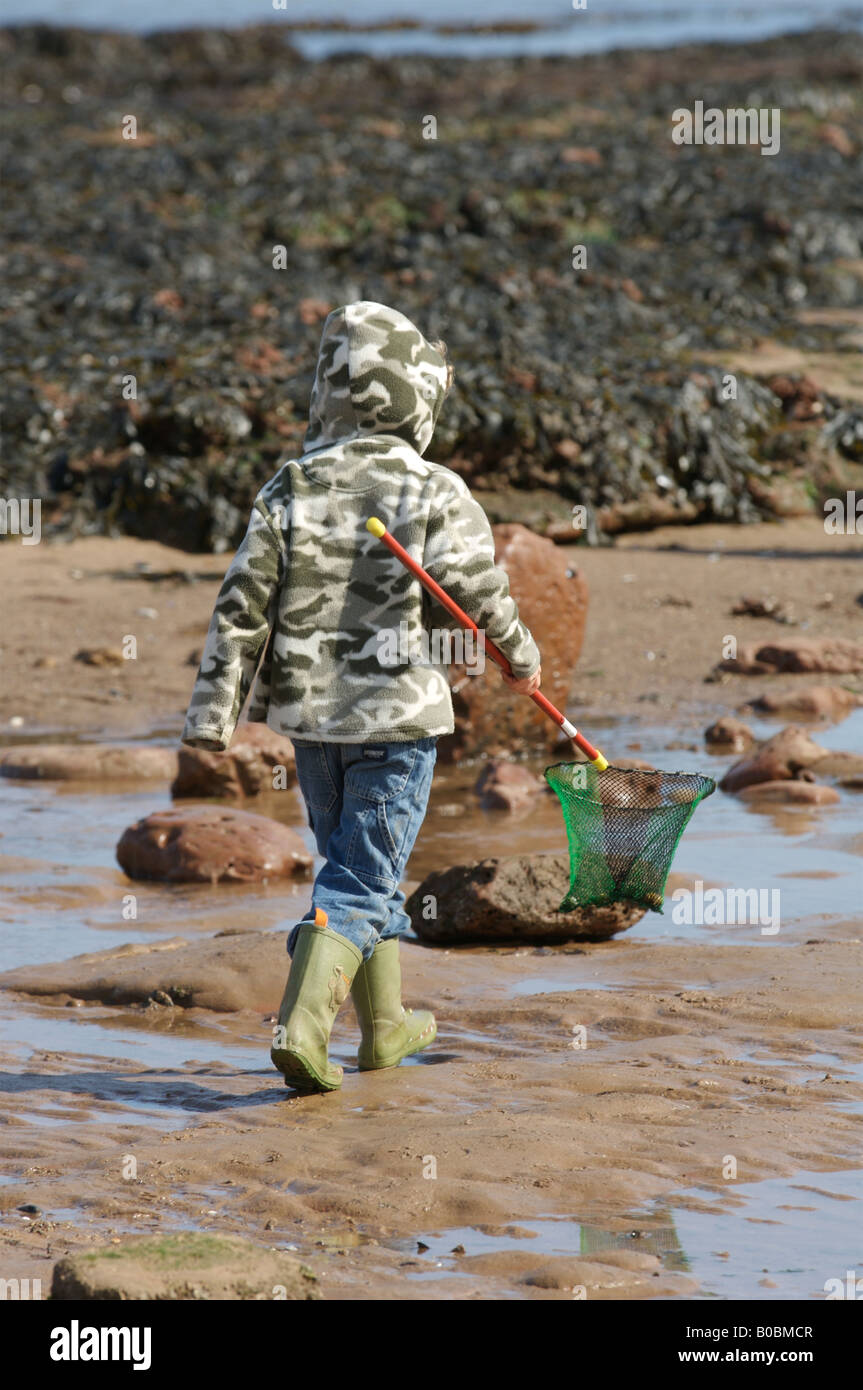 Rock pool net bucket hi-res stock photography and images - Alamy