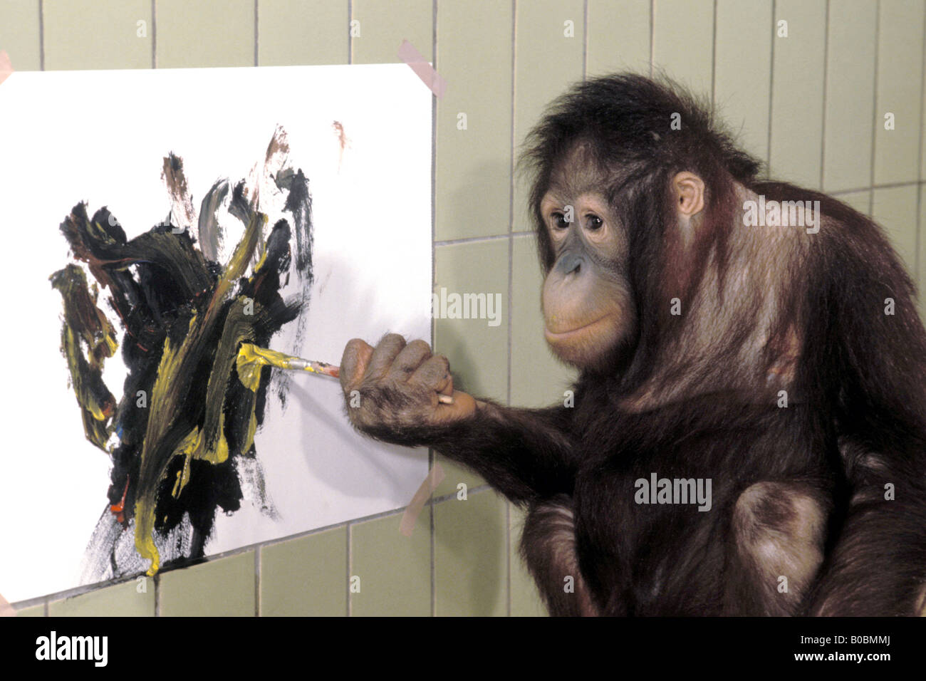 Painting of zoo hi-res stock photography and images - Alamy