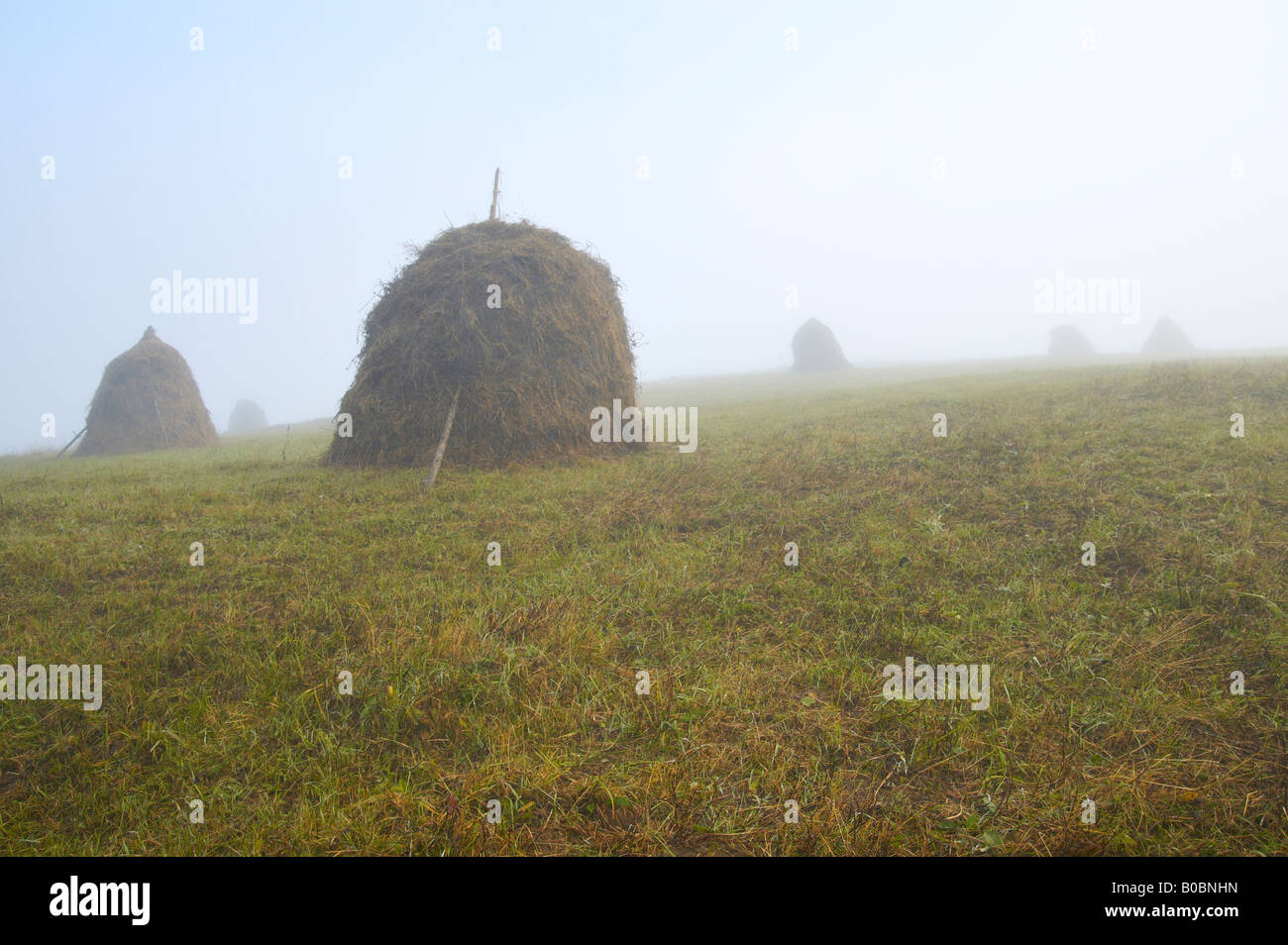 Haystacks on misty morning mountainside Stock Photo - Alamy