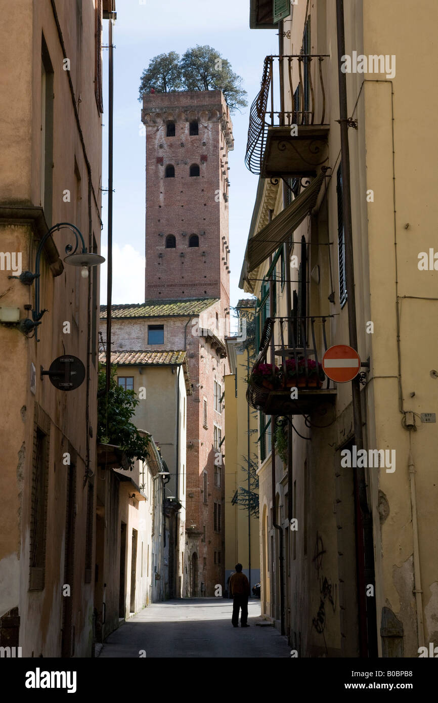 Trees growing out hi-res stock photography and images - Alamy