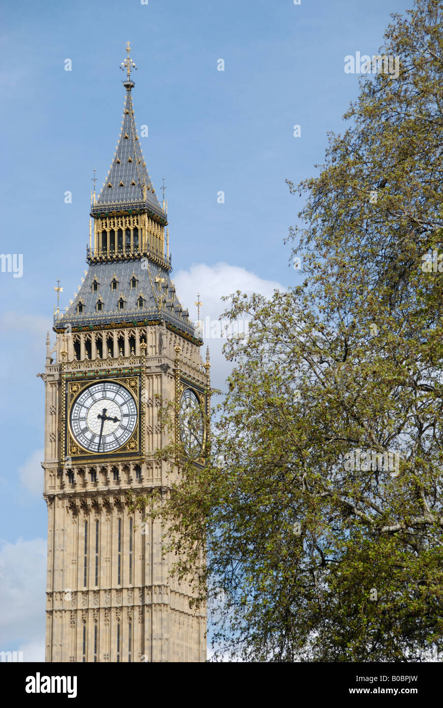 Big Ben and trees London England Stock Photo - Alamy