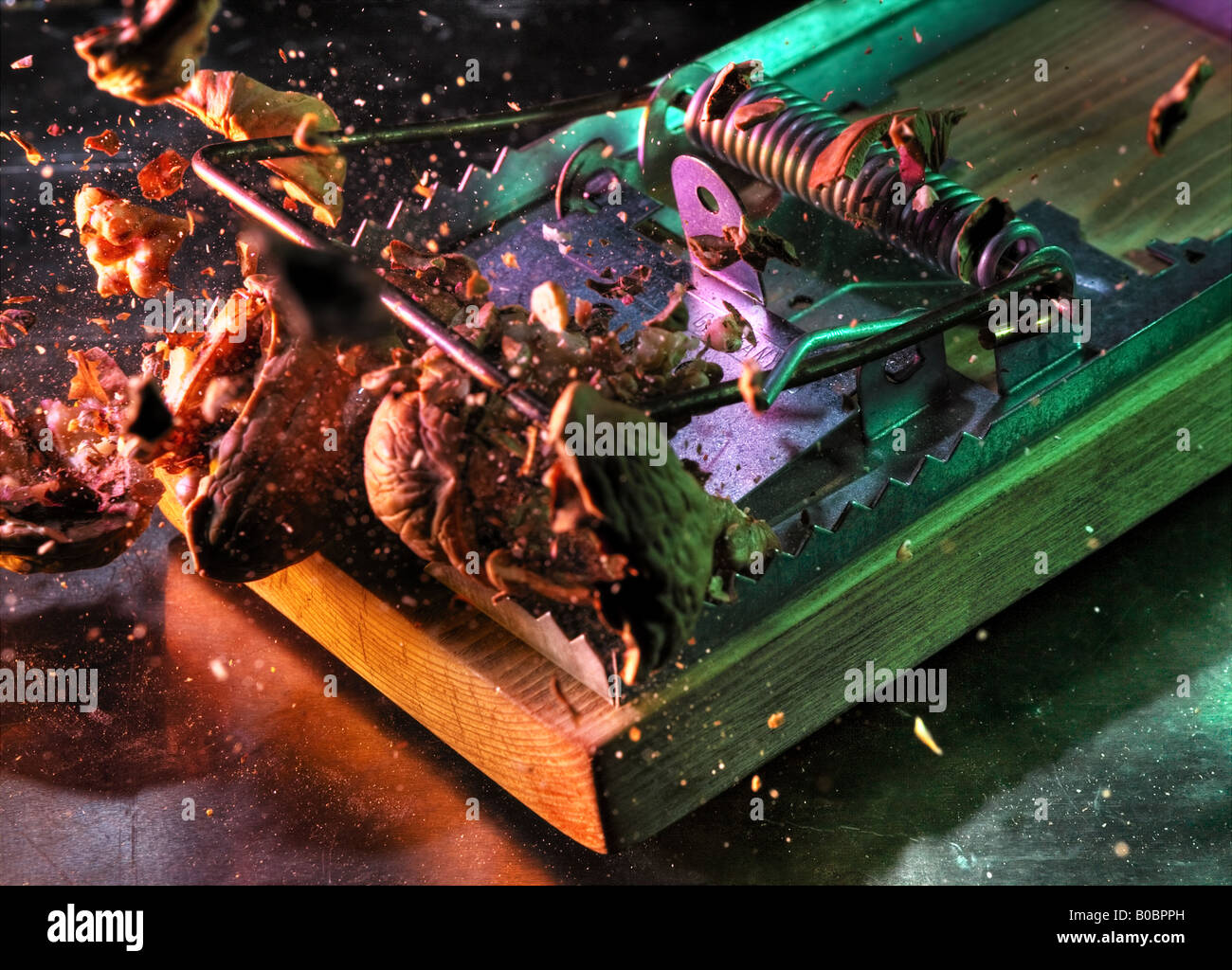 Rat trap crushing nuts Stock Photo - Alamy