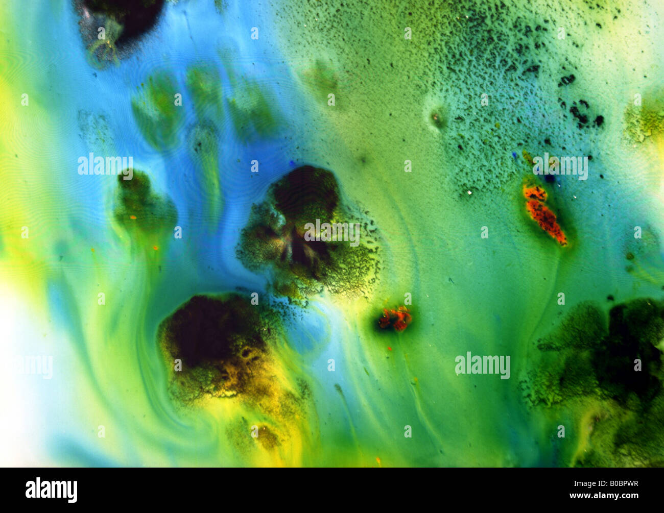 abstract coral reef Stock Photo - Alamy