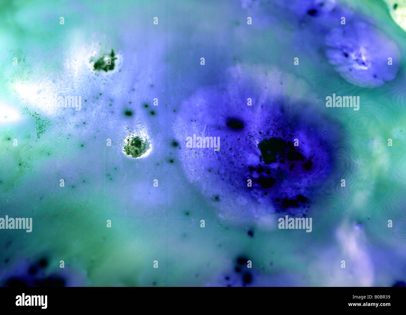 abstract coral reef Stock Photo - Alamy