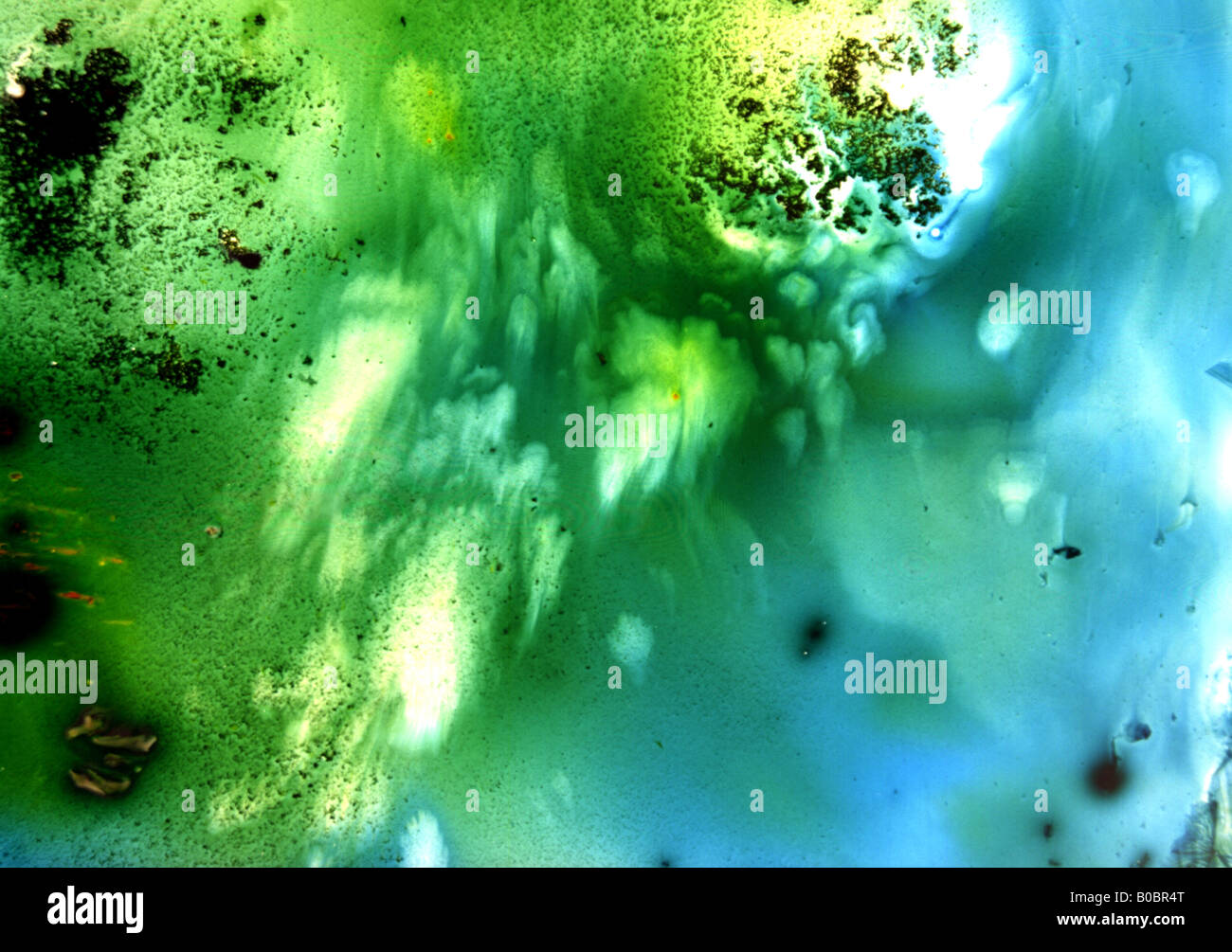 abstract coral reef Stock Photo - Alamy