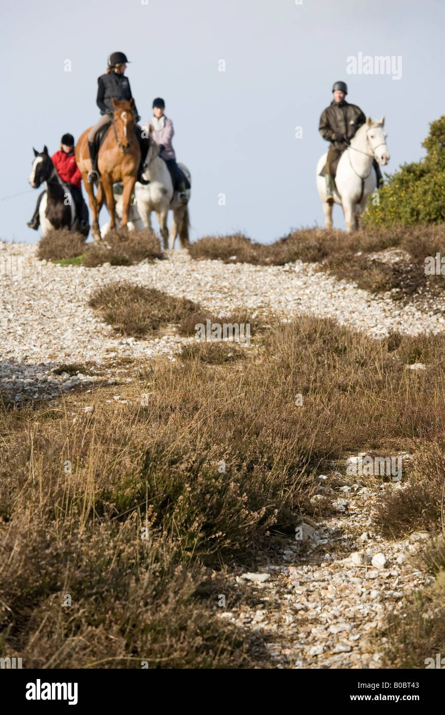 Hampton ridge hampshire hi-res stock photography and images - Alamy