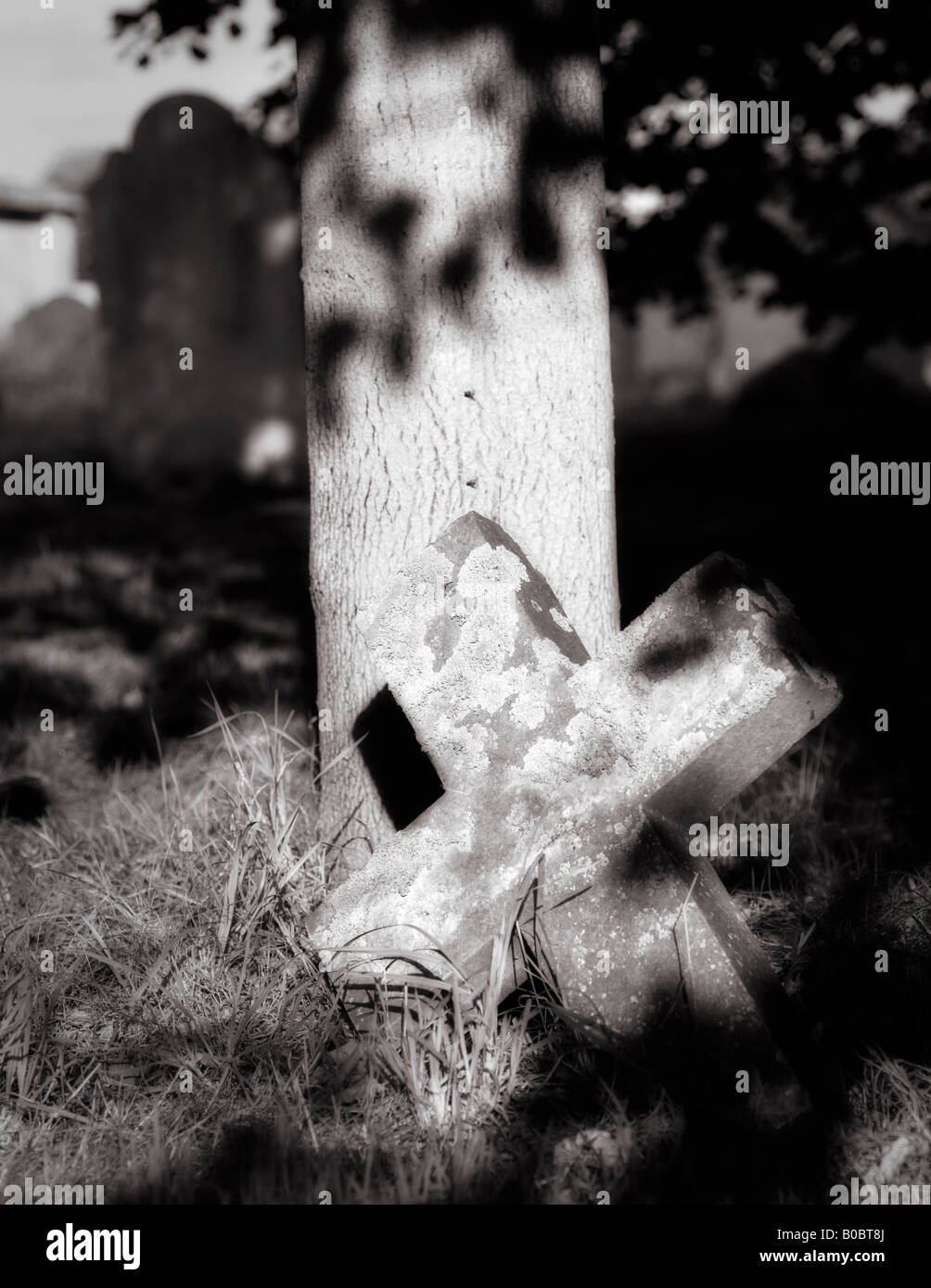 A fallen cruciform headstone under a tree, lit by the late afternoon ...
