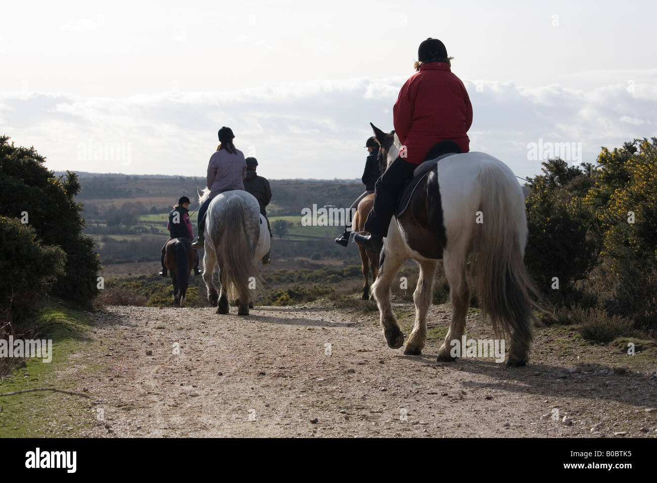 Pony trekking uk hi-res stock photography and images - Alamy