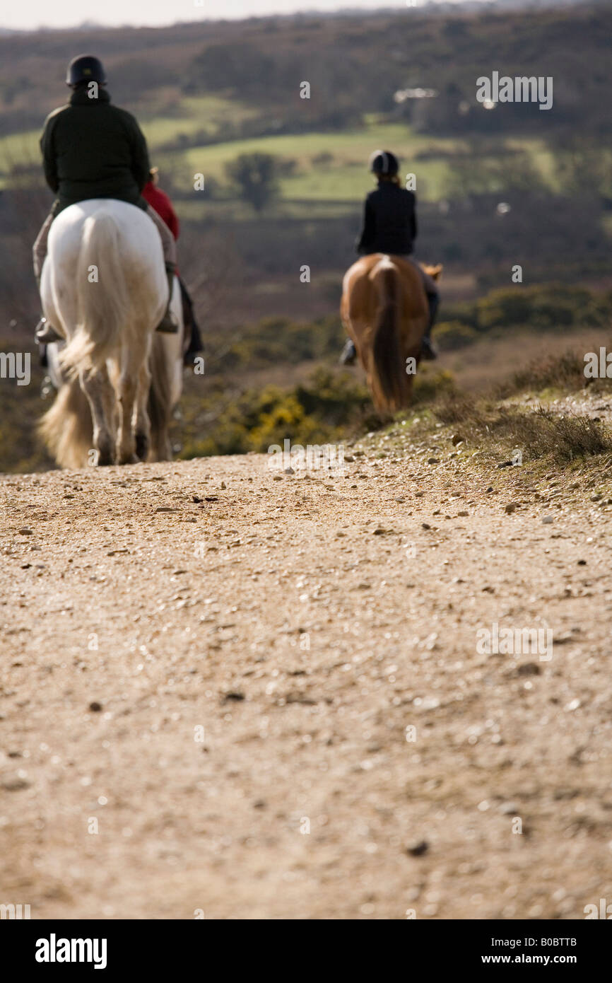 Hampton ridge new forest hampshire hi-res stock photography and images ...