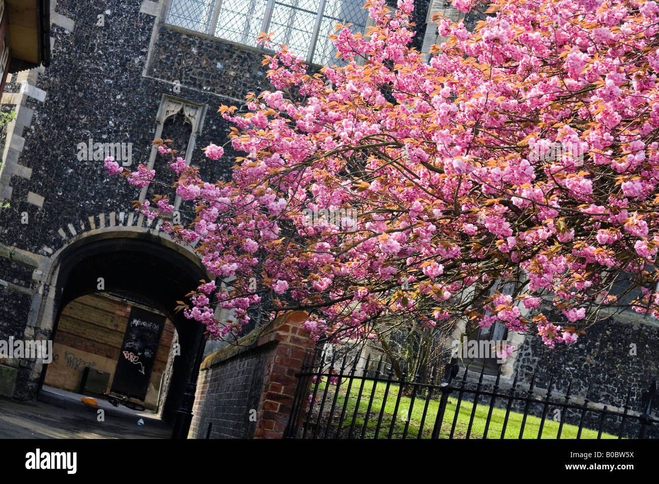 Pottergate arch hi-res stock photography and images - Alamy