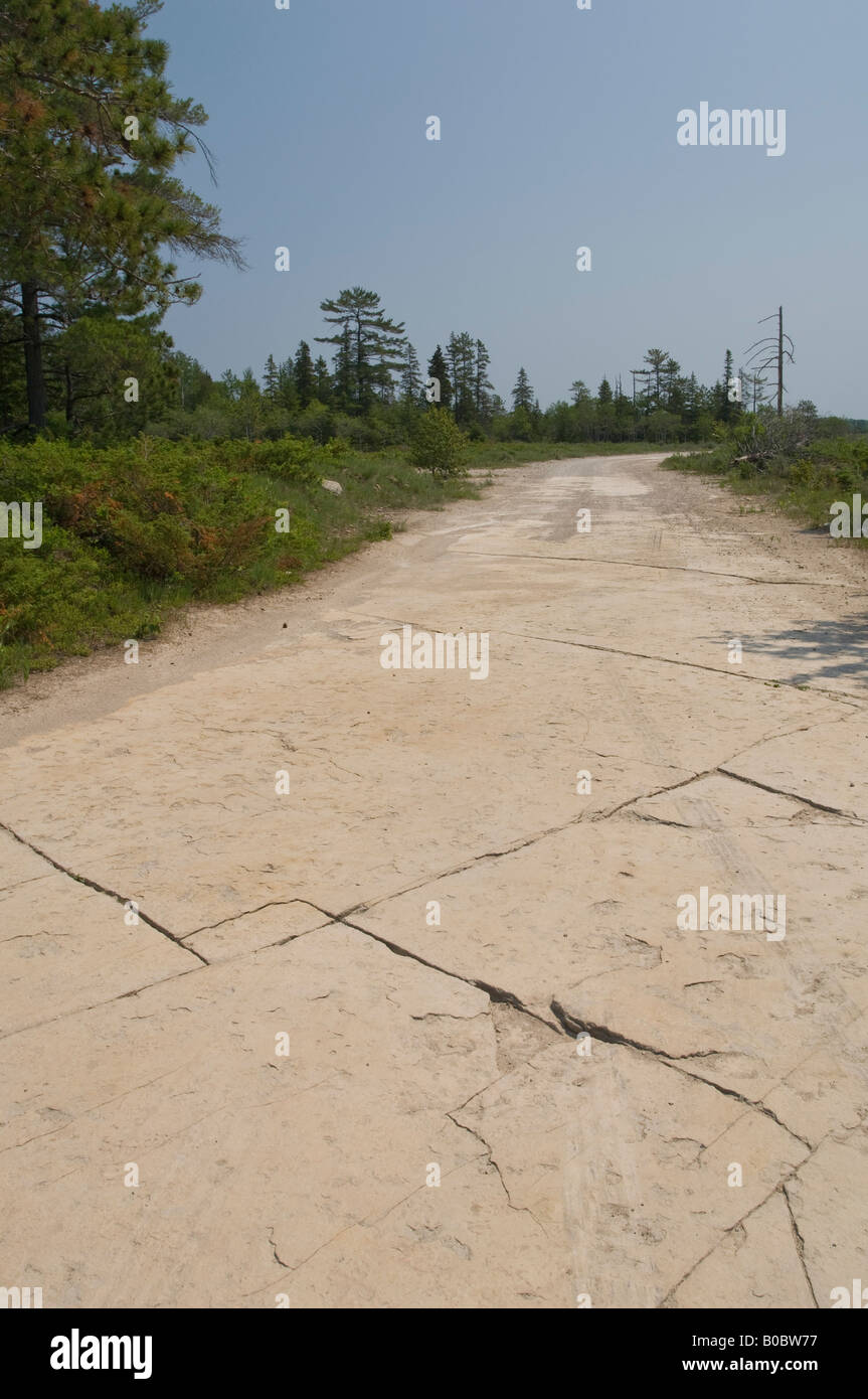 Limestone bedrock exposed in a road on Drummond Island in Michigan s ...