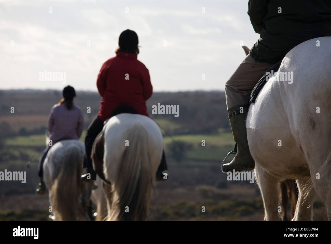 Pony trekking on Hampton Ridge New Forest Hampshire UK Stock Photo - Alamy