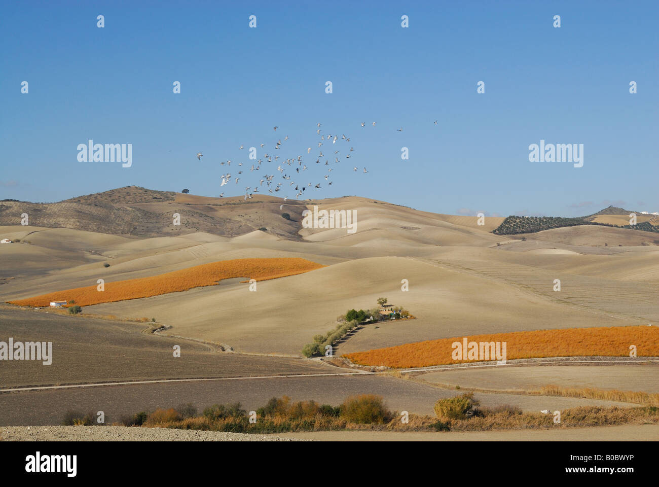 Andalusian country view Stock Photo - Alamy