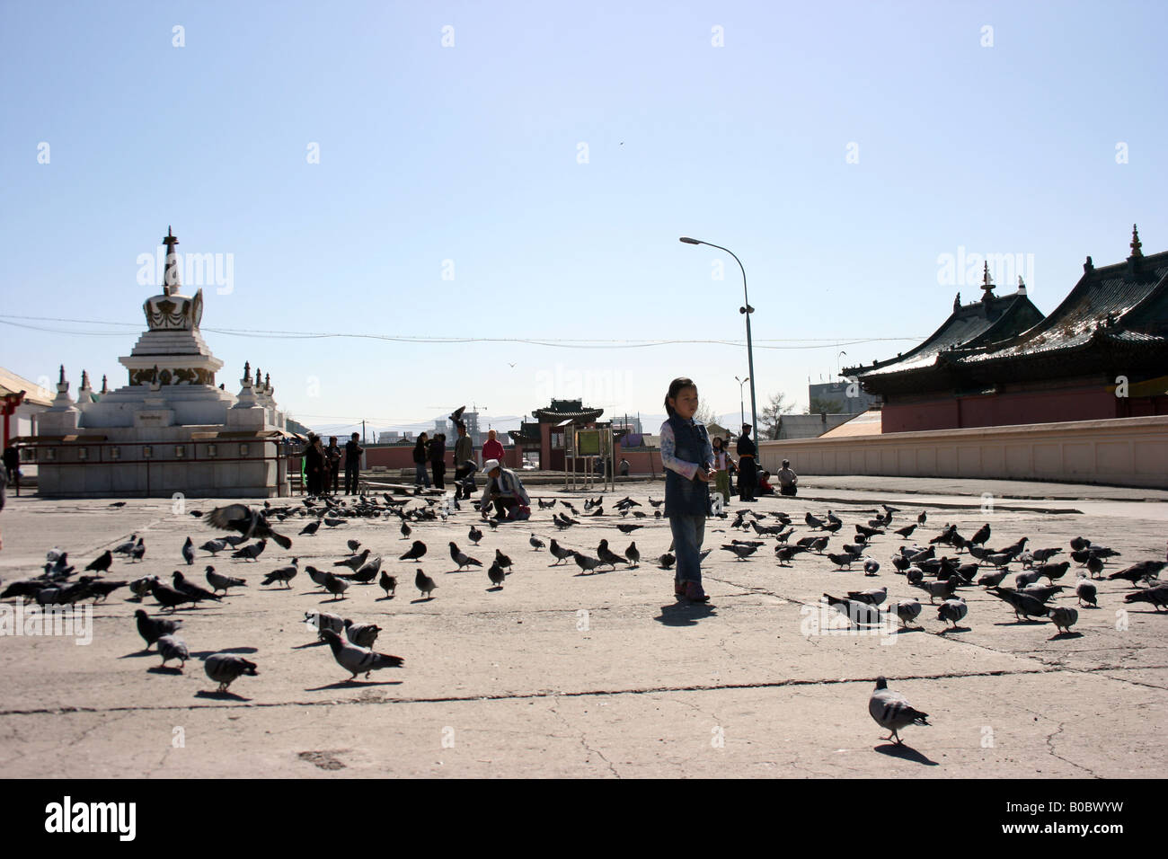 girl and doves in Gandan monastery, Ulaanbaatar, Mongolia Stock Photo ...