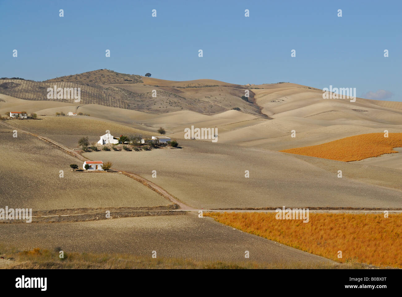 Andalusian country view Stock Photo - Alamy