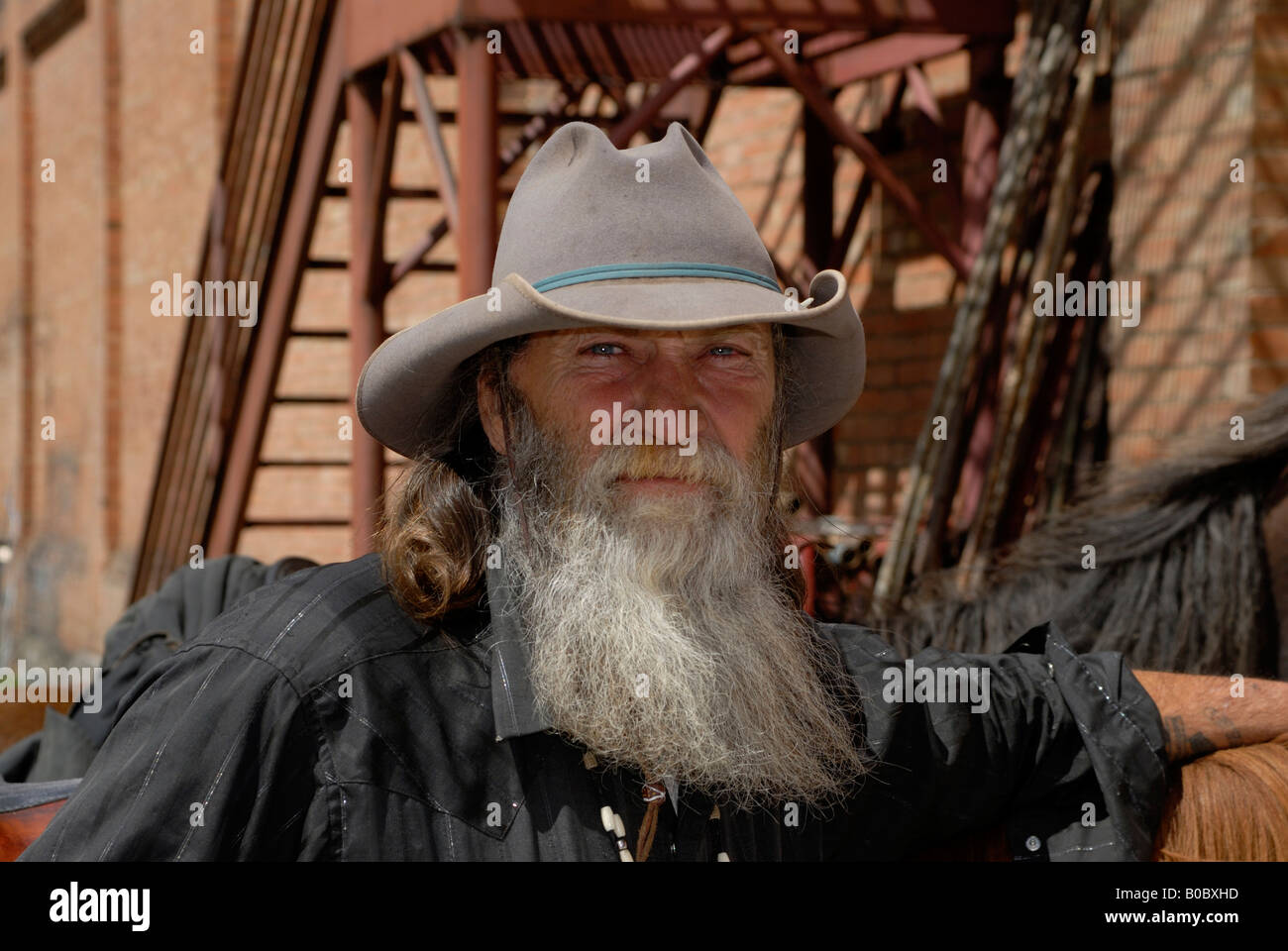 Wild Wild West Beard