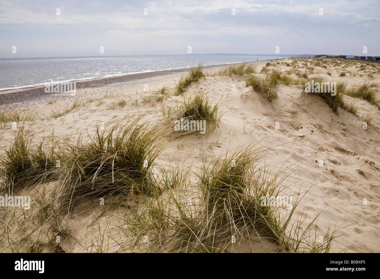 The beach and sand dunes, Walberswick, Suffolk, England Stock Photo - Alamy