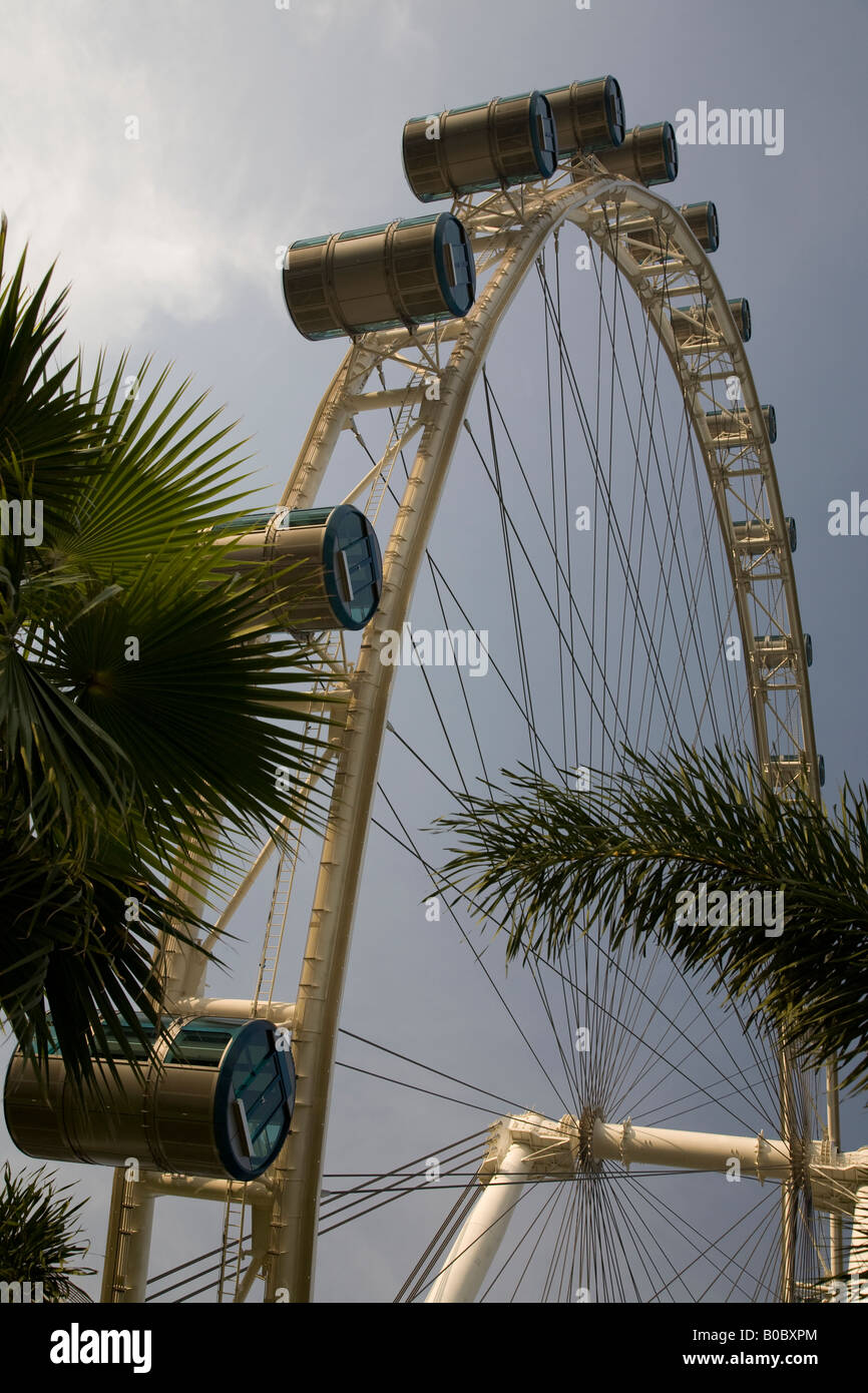 Singapore Flyer the worlds largest ferris wheel taken through palm ...