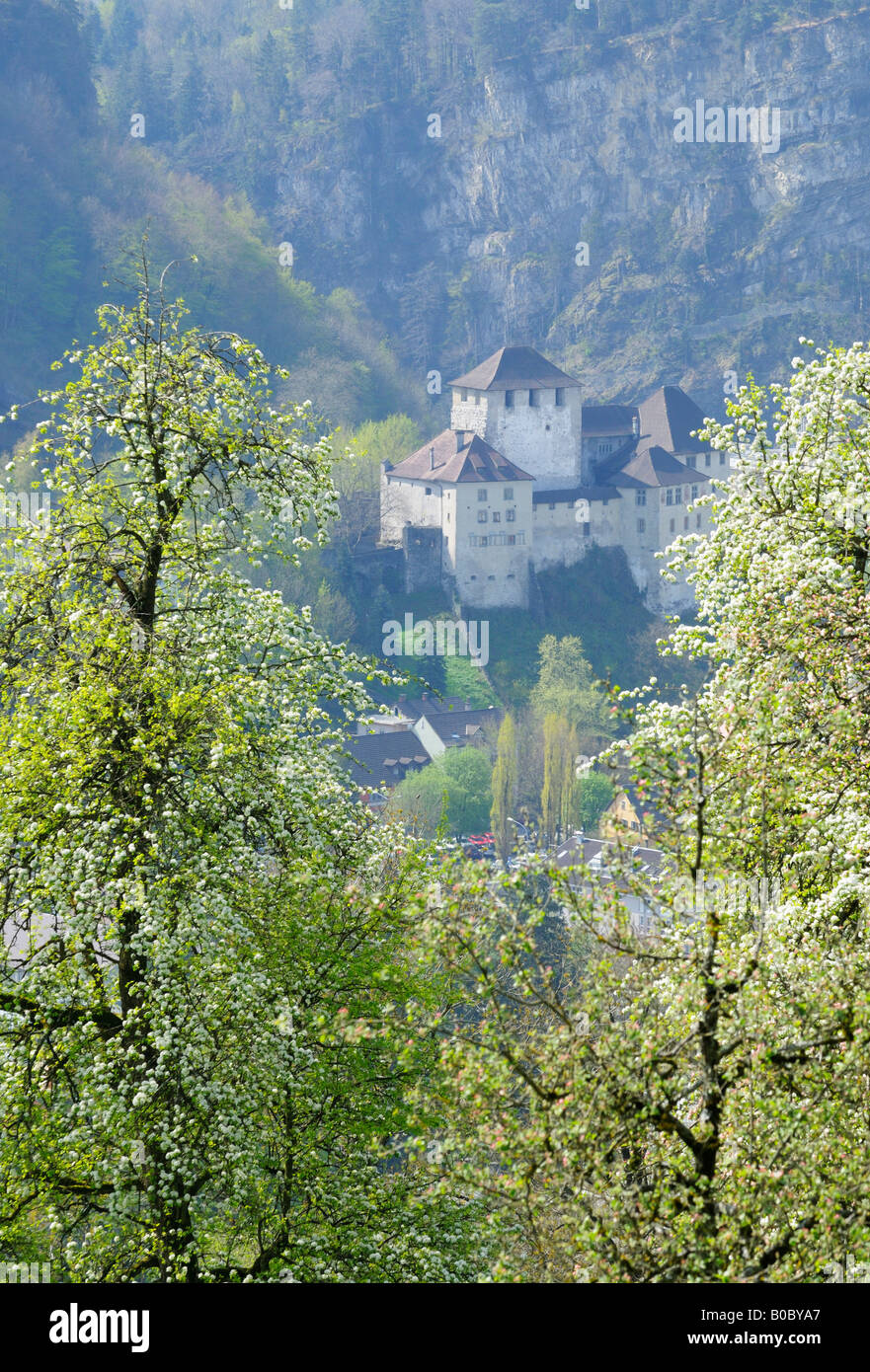 Feldkirch Castle High Resolution Stock Photography and Images - Alamy
