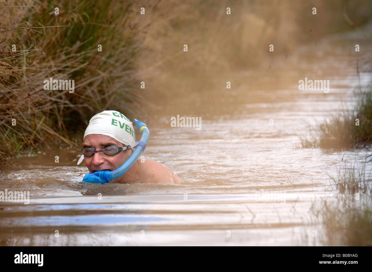 A COMPETITOR COMES UP FOR AIR AT THE INTERNATIONAL BOG SNORKELLING ...