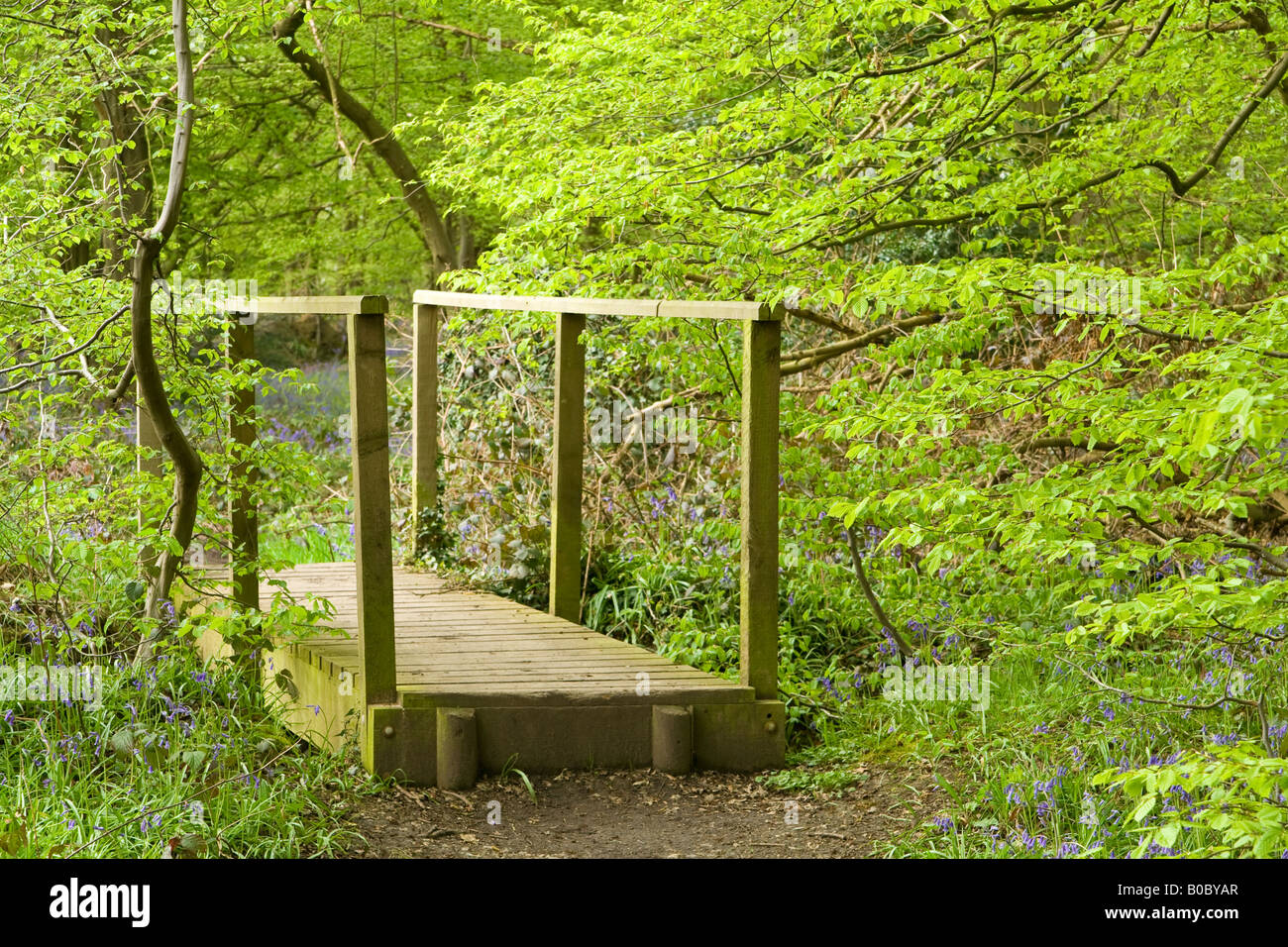 A wooden footbridge over a stream, UK Stock Photo - Alamy