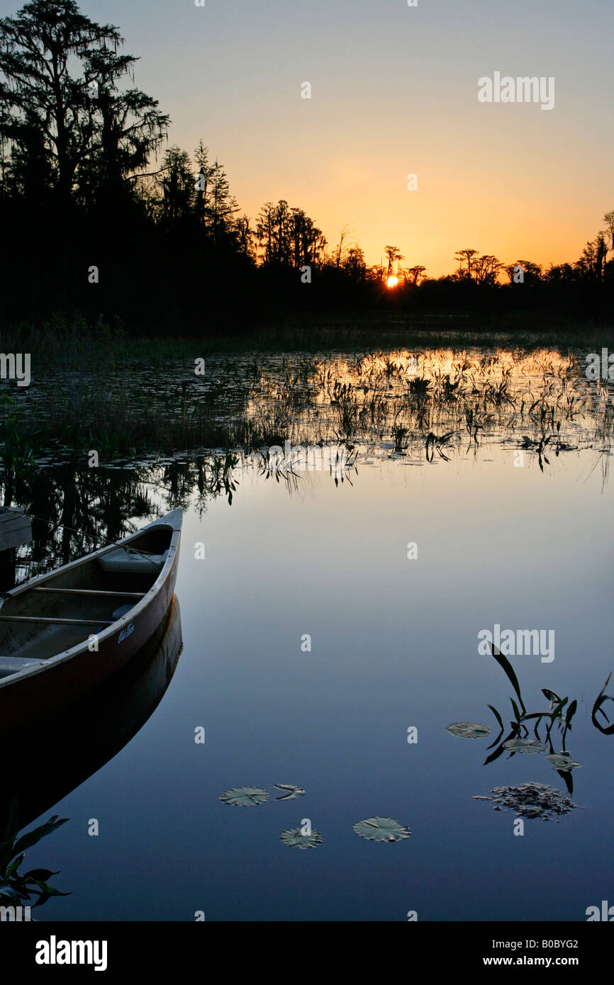 Canoe at sunrise camp in the Okefenokee National Wildlife Refuge swamp ...