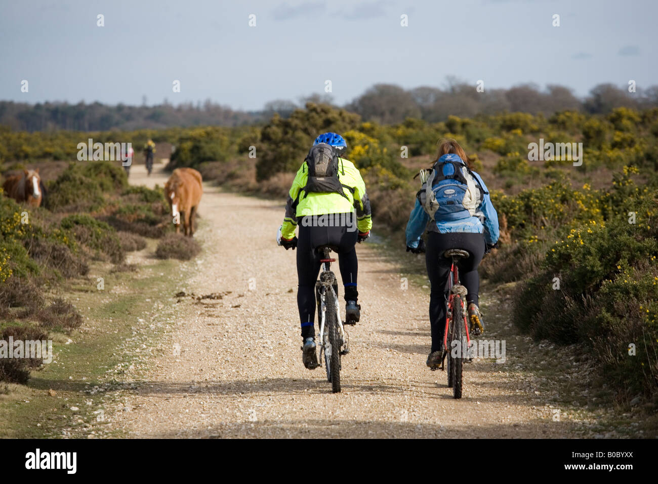 Hampton ridge new forest hampshire hi-res stock photography and images ...