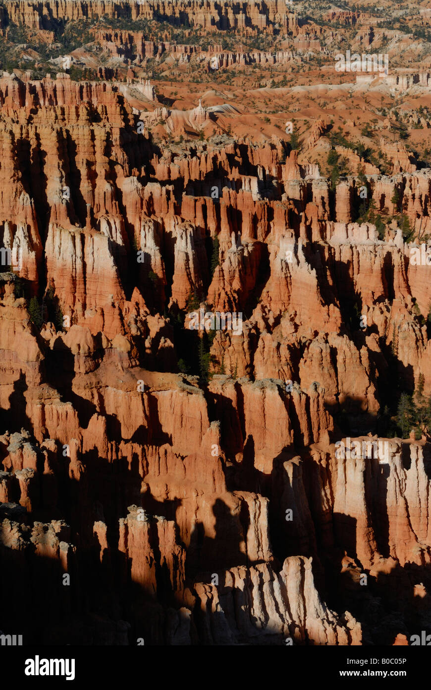 Close up of the pinnacles beautiful rock formations of Bryce Canyon ...