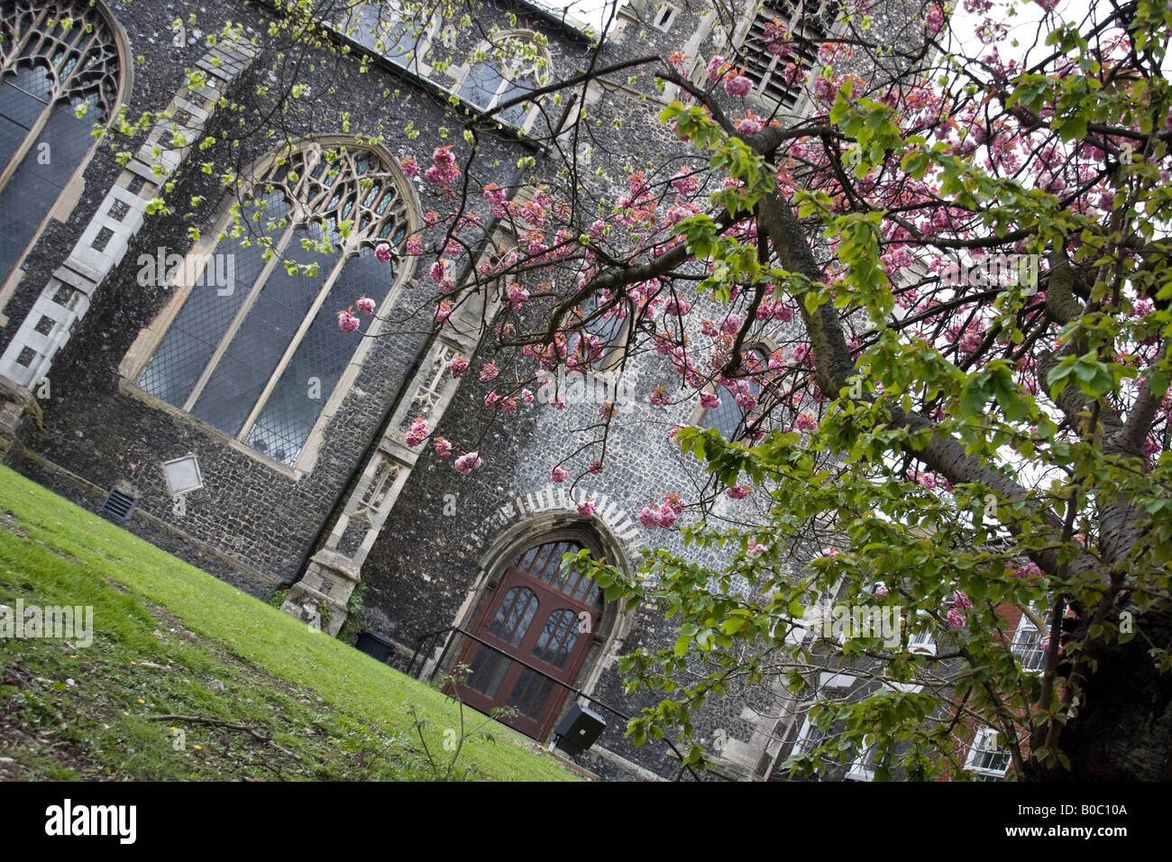 Pottergate hi-res stock photography and images - Alamy