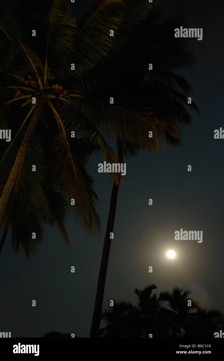 Goa, India. Beach scene. Fishermen. Palolem Beach. Sunset Stock Photo ...
