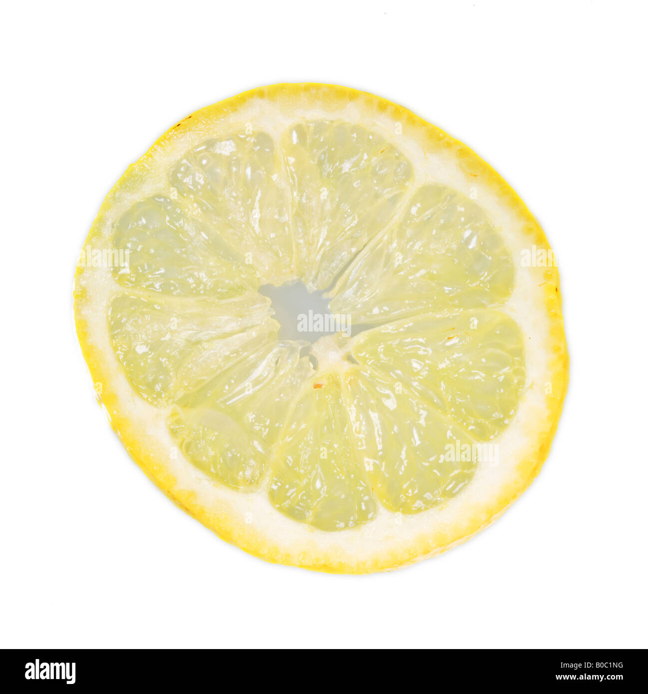 Lemon tree with fruits Cut Out Stock Images & Pictures - Alamy