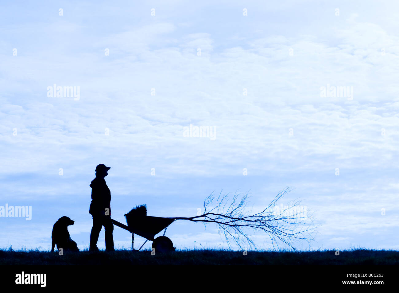 Using wheelbarrow hi-res stock photography and images - Alamy