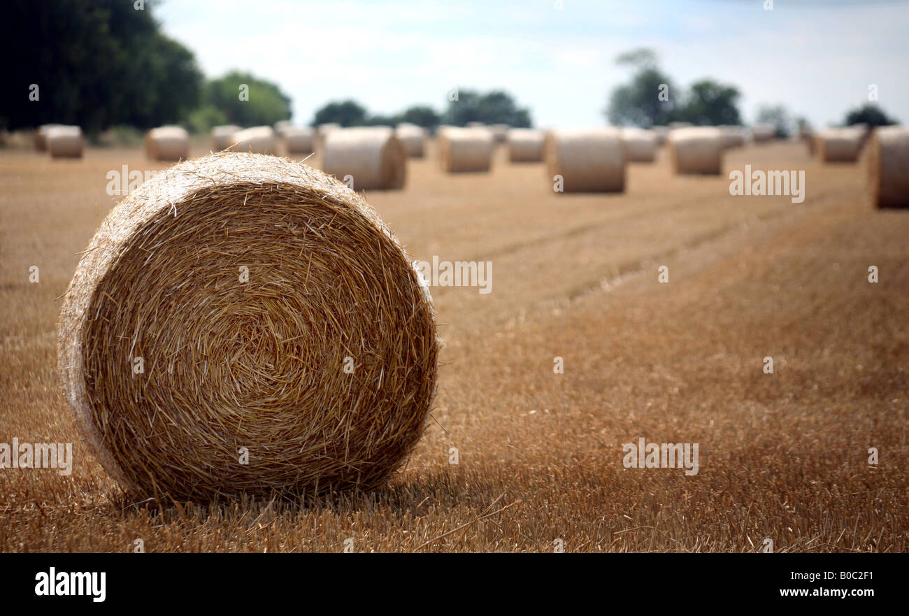 Hay bale press hi-res stock photography and images - Alamy