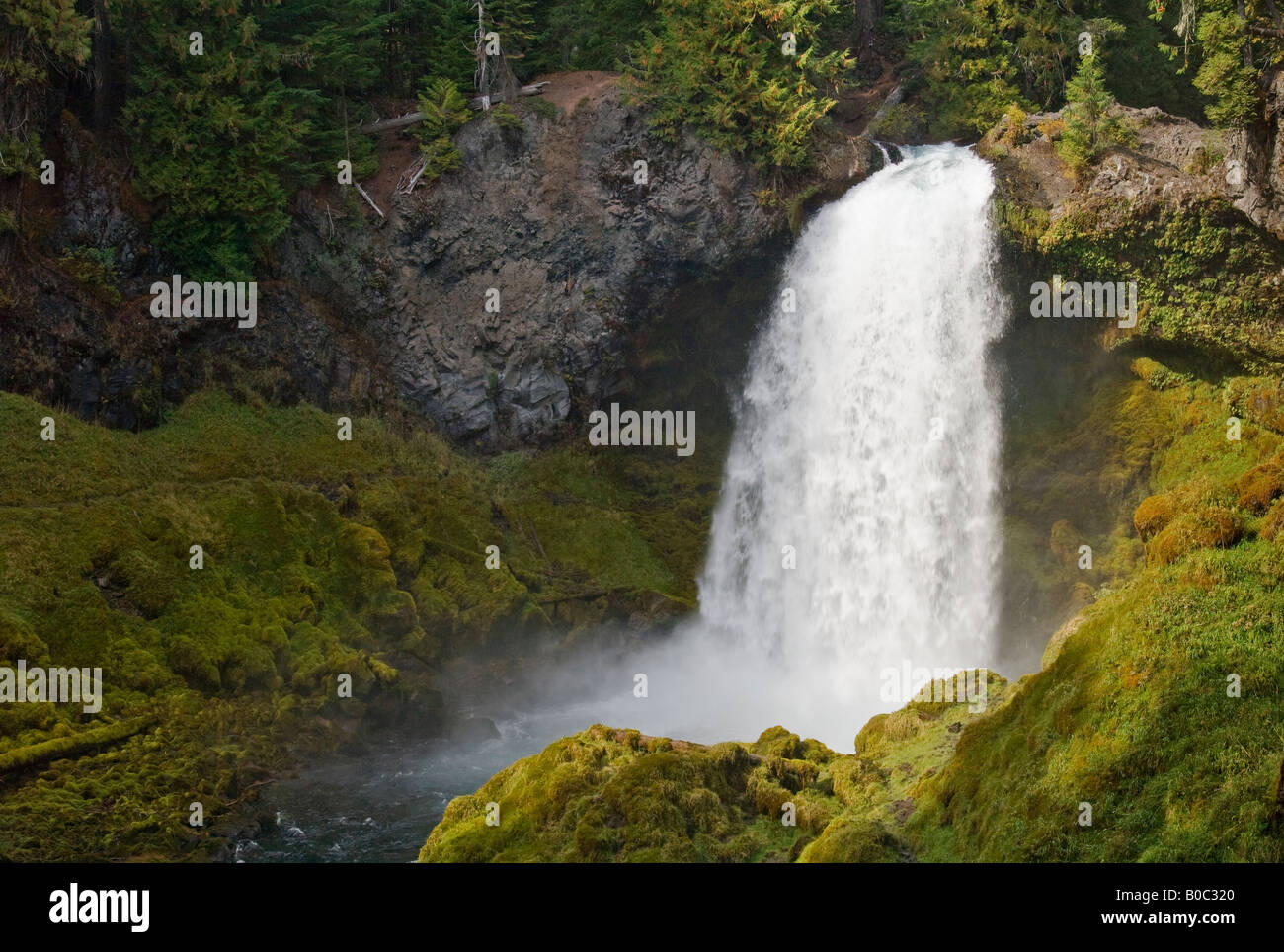 Willamette National Forest Cascade Mountains Oregon Stock Photo - Alamy