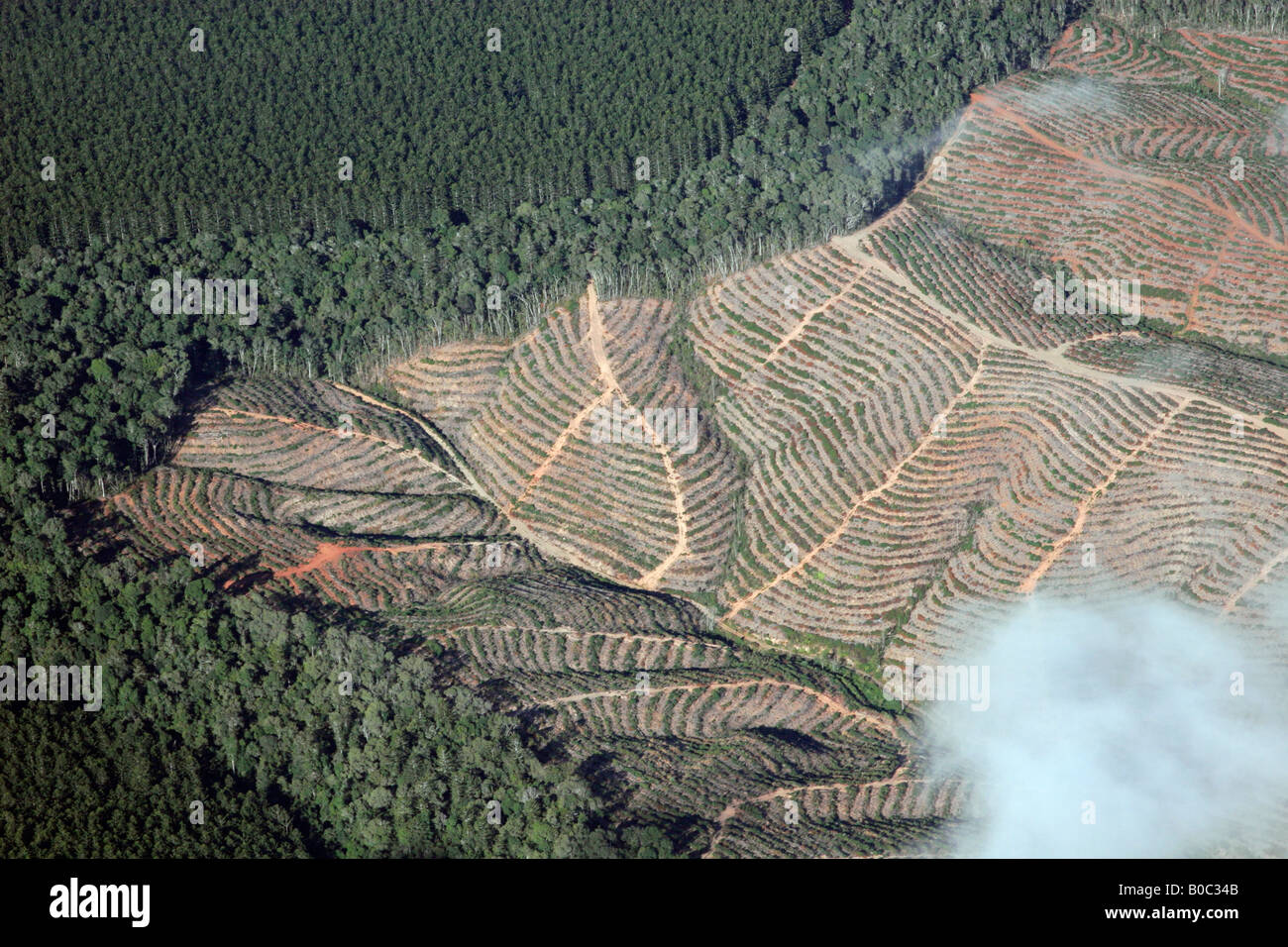 Deforestation australia aerial hi-res stock photography and images - Alamy