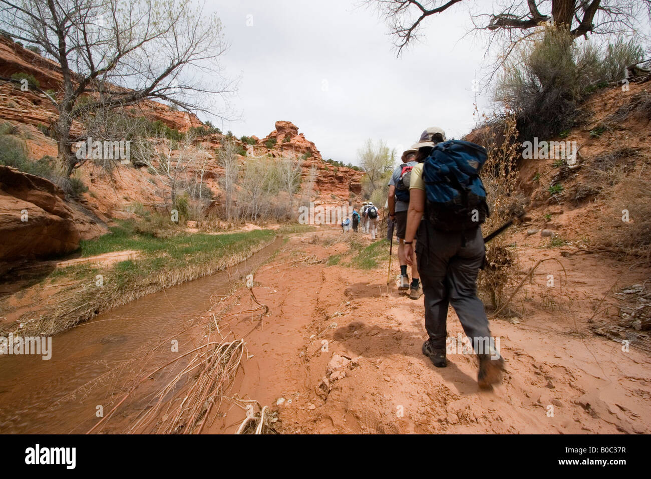 USA - Utah. Hikers in Grand Staircase - Escalante National Monument ...