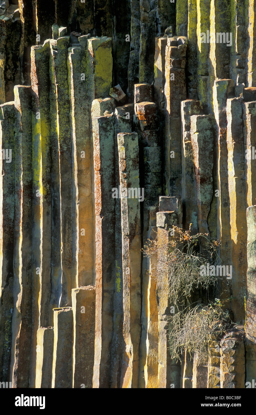 Columnar basalt lava rock formation on the North Umpqua River at Soda ...