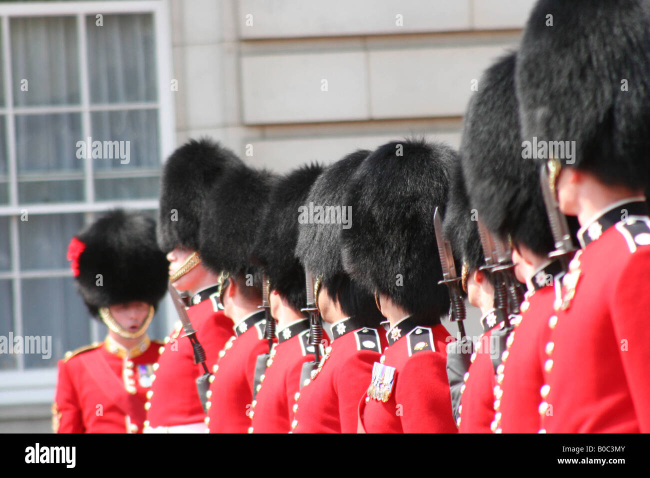 Beef guards hi-res stock photography and images - Alamy