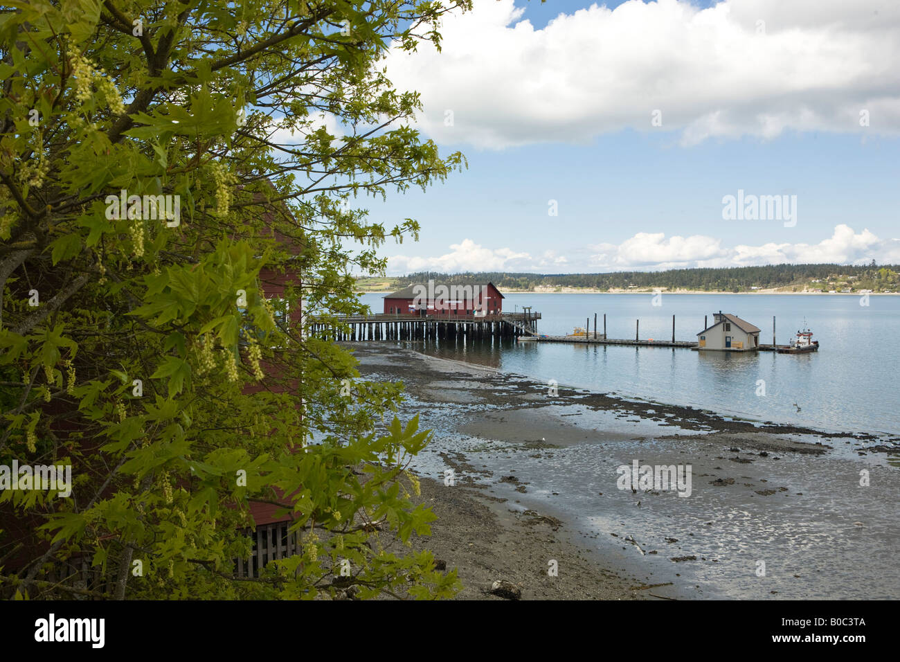 Coupeville, wa hi-res stock photography and images - Alamy