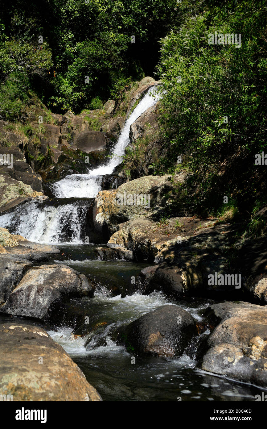Waterfall and river cascade at Kaiate Falls, near Tauranga, western Bay ...